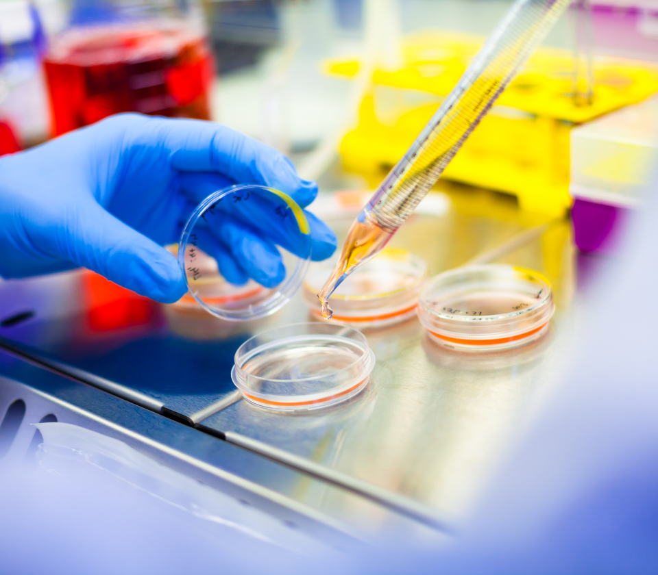 iRISecure Software - Mobile Aspects